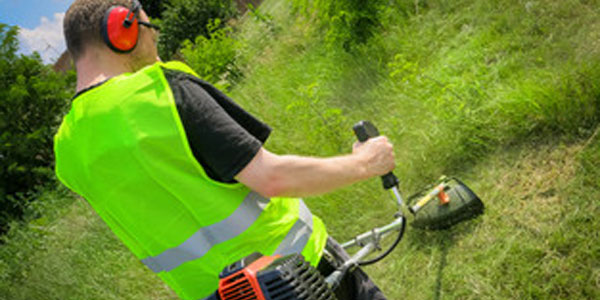 State Plans | Occupational Safety and Health Administration