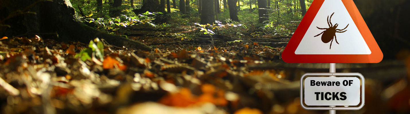 Safety and Health Topics | Occupational Safety and Health Administration